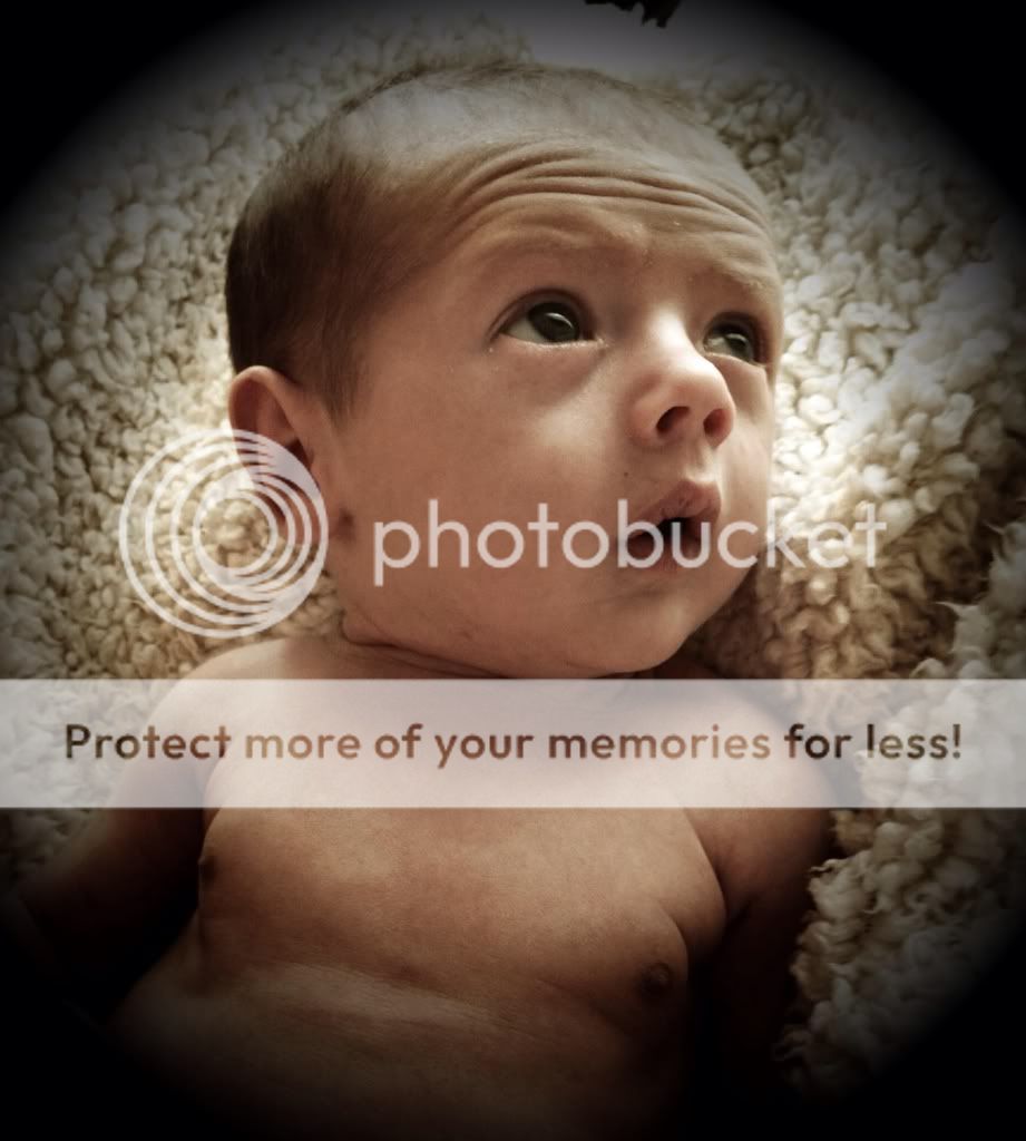 Brow presentation birth *lots of pics* :) | BabyCenter